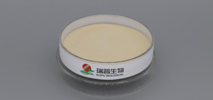 The iron supplementation effect of Ferric pyrophosphate - Ruipu Biological