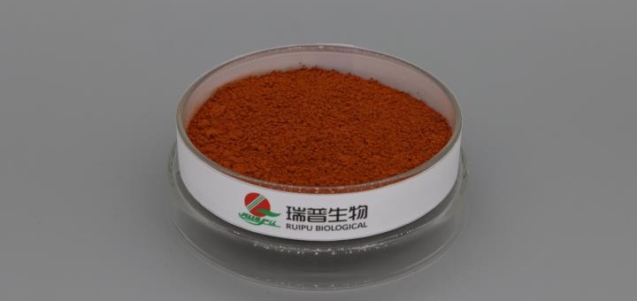 What are the properties of ferric phosphate? - Ruipu Biological